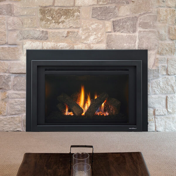 Fireplace Inserts: Gas, Wood, Pellet & Electric - Best Fire Hearth & Patio